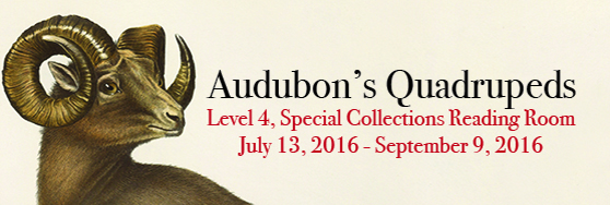 Home - Marriott Library - The University of Utah